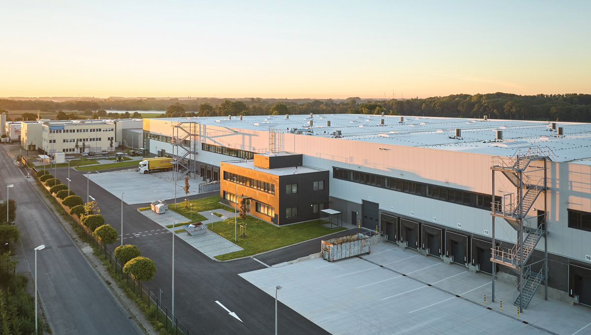 Verdion: A year of opportunity ahead