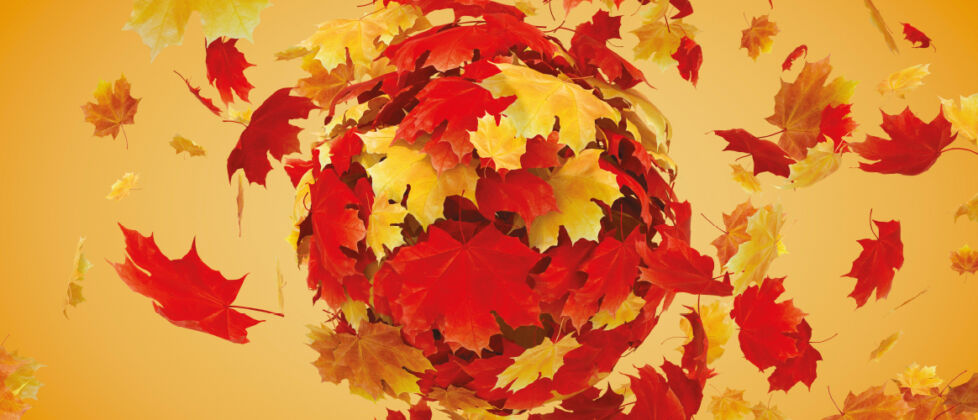 Deep Dive: Canada’s Maple 8 hit an inflection point