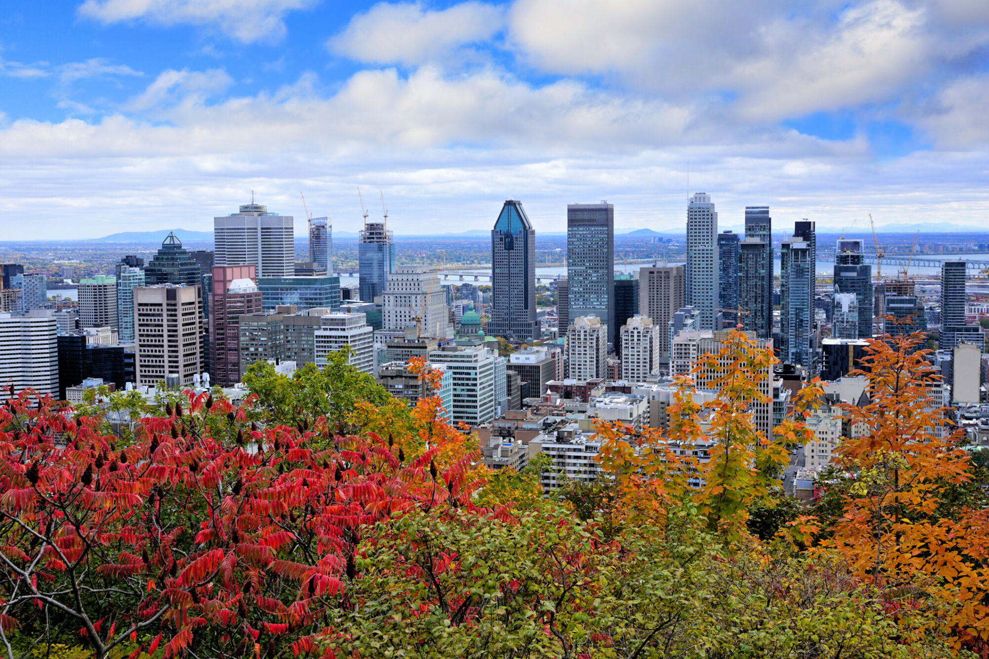 Fiera scores C$800m for Canadian real assets impact strategy